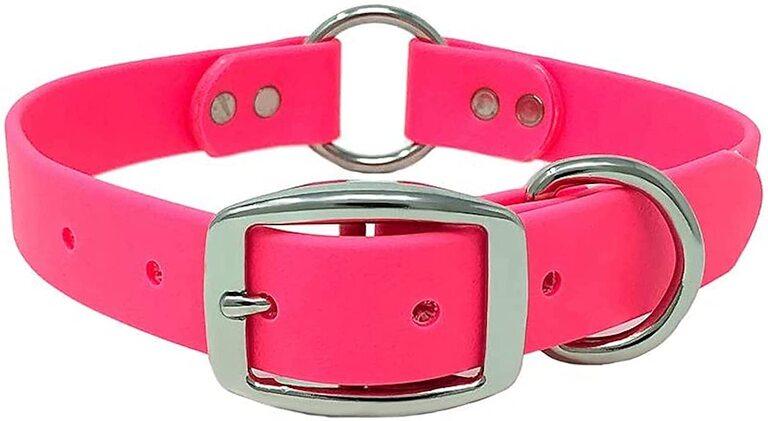 Different Types Of Collars For Dogs