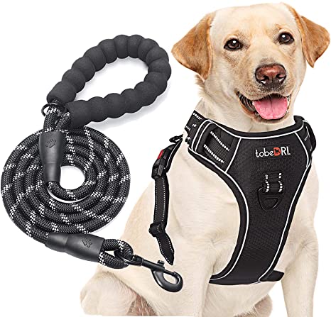 Different Types Of Dog Leashes