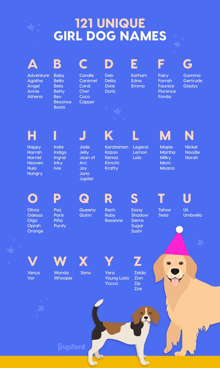 How To Choose Dog Name How To Choose Dog Name